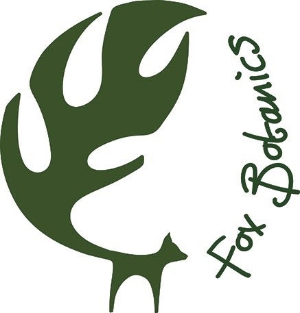 House and Garden Plants in Glasgow | Fox Botanics